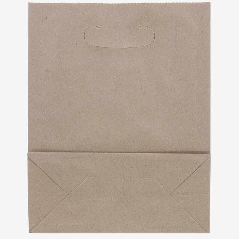 Kraft handle paper bags