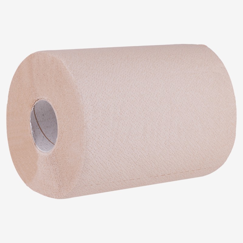 Paper towels Econat 2 ply 300 pcs Lucart