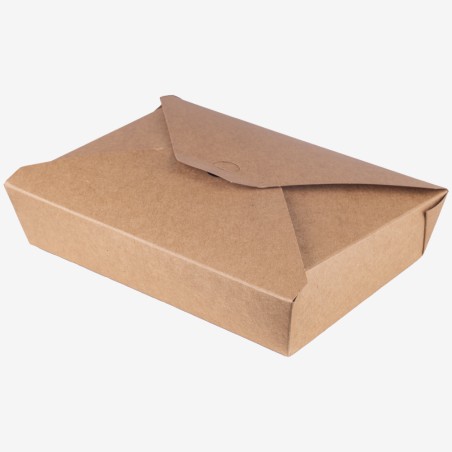 Kraft PE carton 20X14X4,5 cm 1100 ml 50 pcs