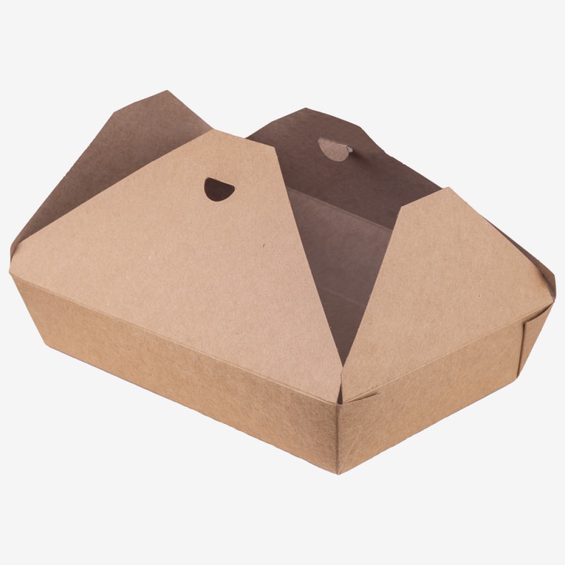 Kraft PE carton 20X14X4,5 cm 1100 ml 50 pcs