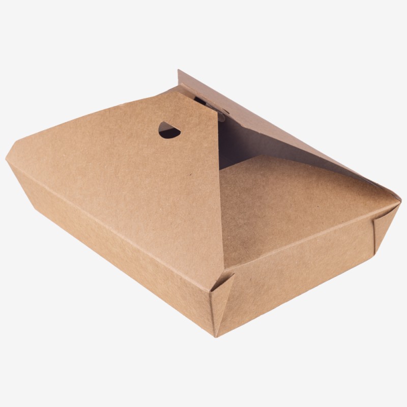 Kraft PE carton 20X14X4,5 cm 1100 ml 50 pcs