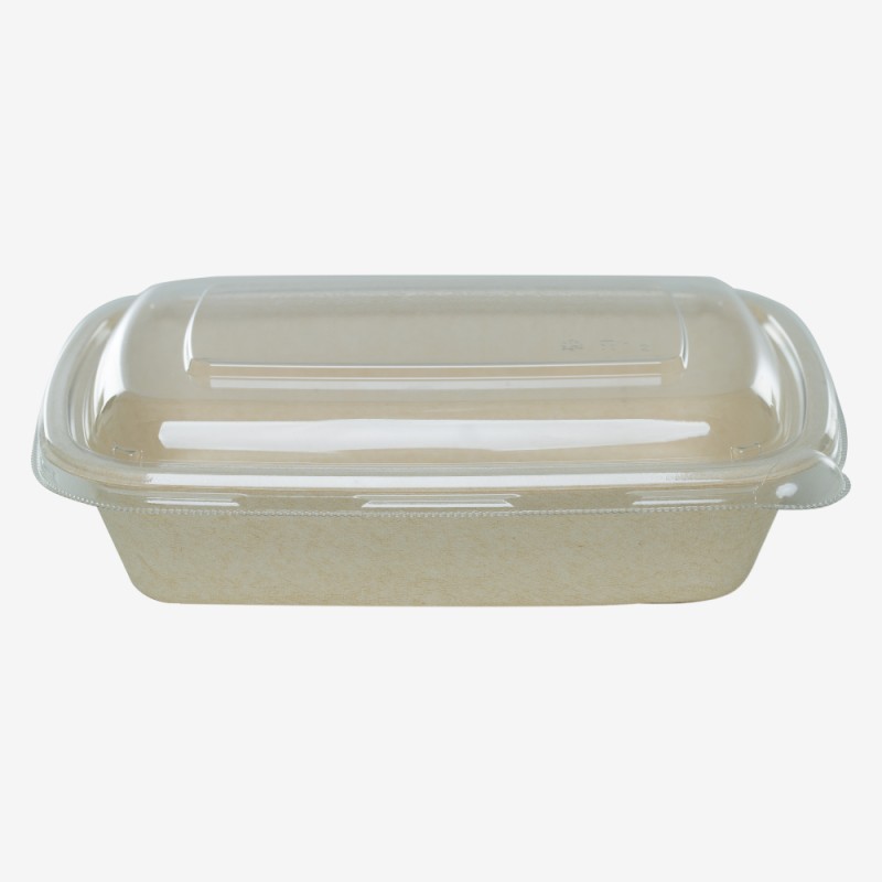 Natur sugarcane container
